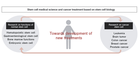 Cancer Stem Cell Research Unit｜Research Core and Unit｜Research ...